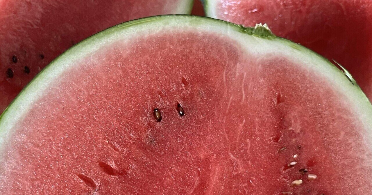 すいかしごと｜SHOKO