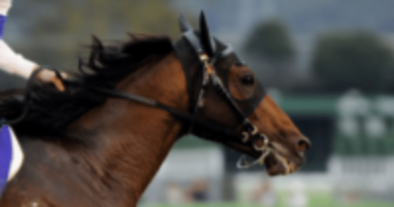 JRA中央競馬7/12(土)福島3R｜フジタカ