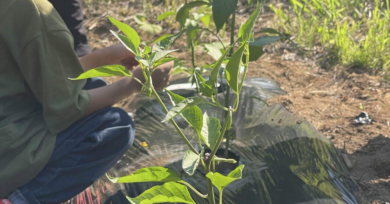 MUJI Camp Farm｜無印良品津南キャンプ場