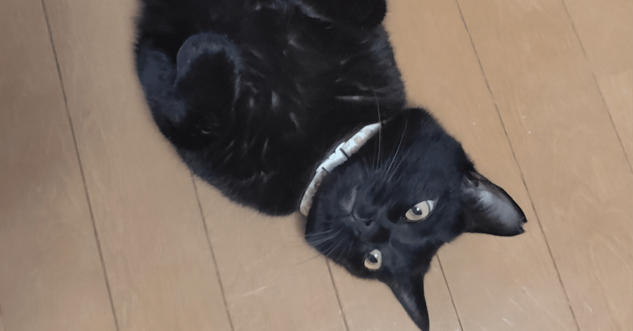 公務員試験（地方自治体）の面接の真実｜RI-OU