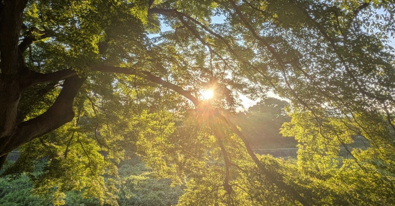 『里恋詩くて・・・熊野・高野』紀伊を愛した怒涛詩人さとちゃんを忘れない【745】｜ichiro70