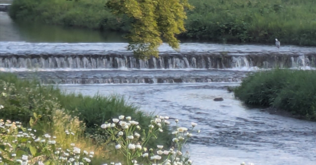 「織田作之助賞」受賞作家の小林長太郎と彼が残したブログ「負荷」と記事を忘れない〜#470｜ichiro70