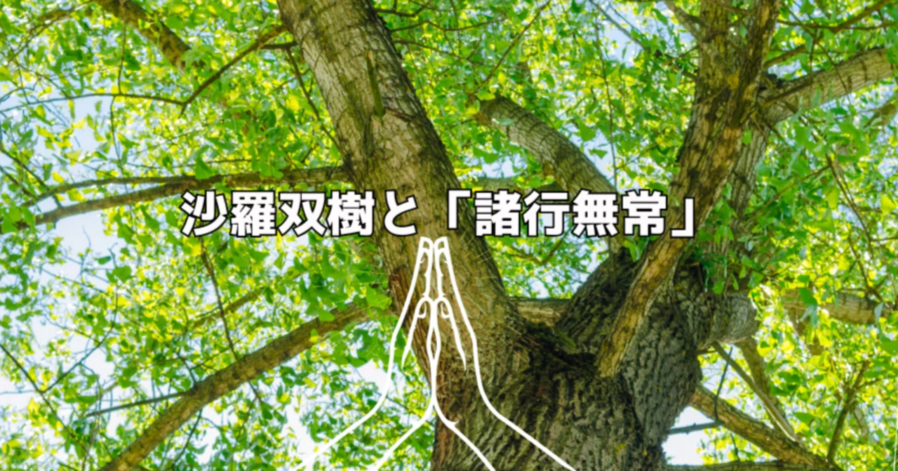 [Health] #158. The Sal Tree and 'Impermanence' — Tips for Tuning Your ...