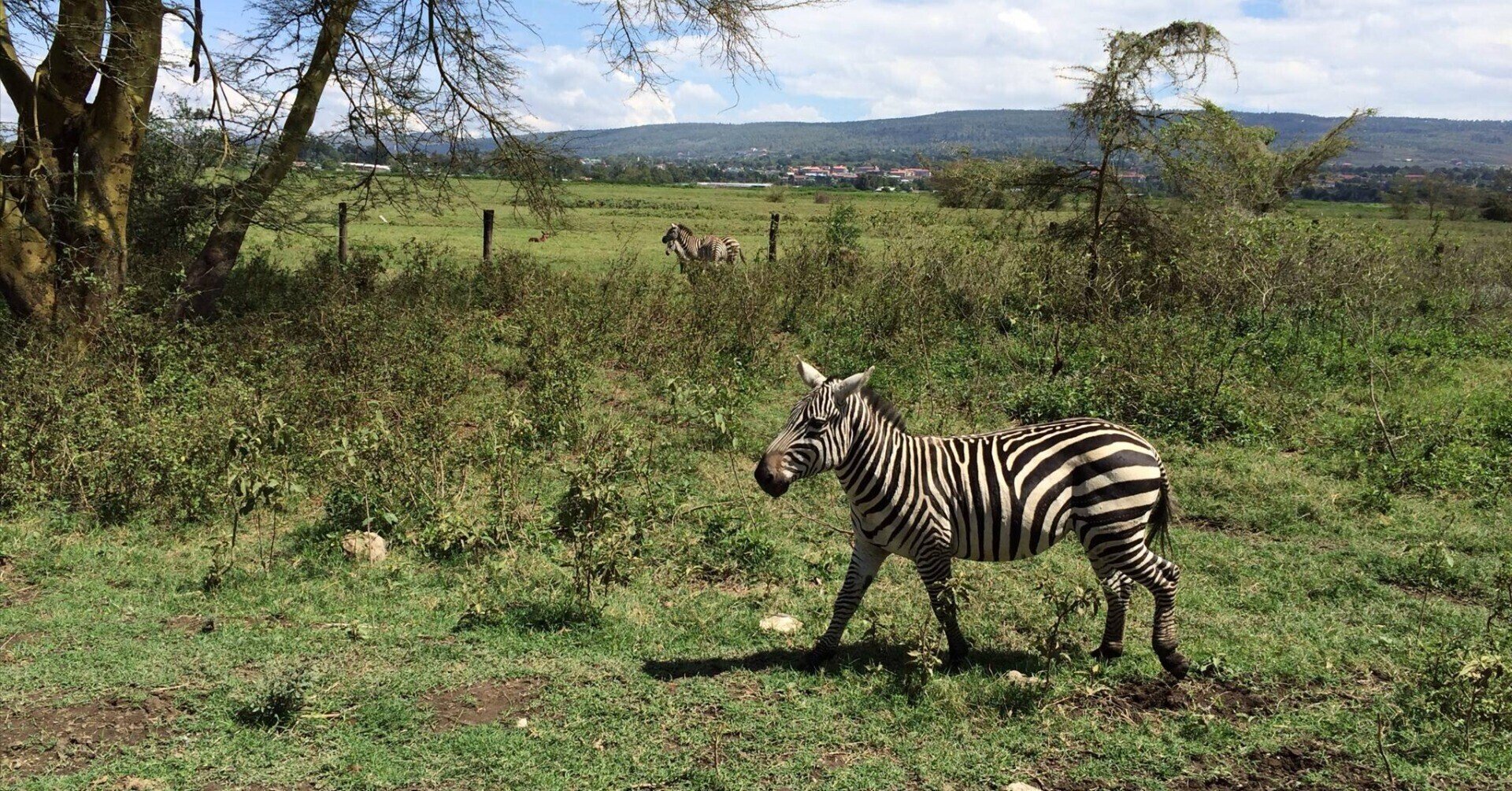 Sasaki＠本のキュレーター｜note