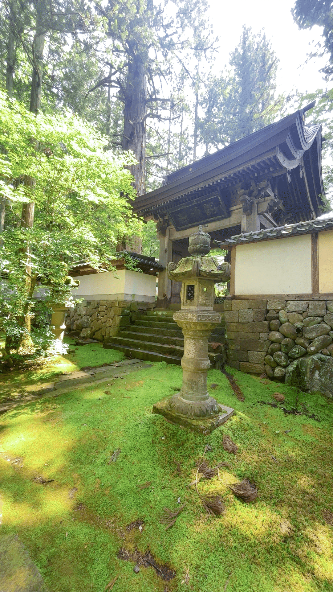 長野旅行2025.7.5-6[写真展]｜nemui👓🐈‍⬛