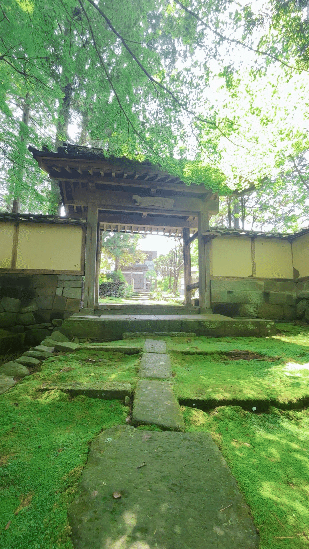 長野旅行2025.7.5-6[写真展]｜nemui👓🐈‍⬛