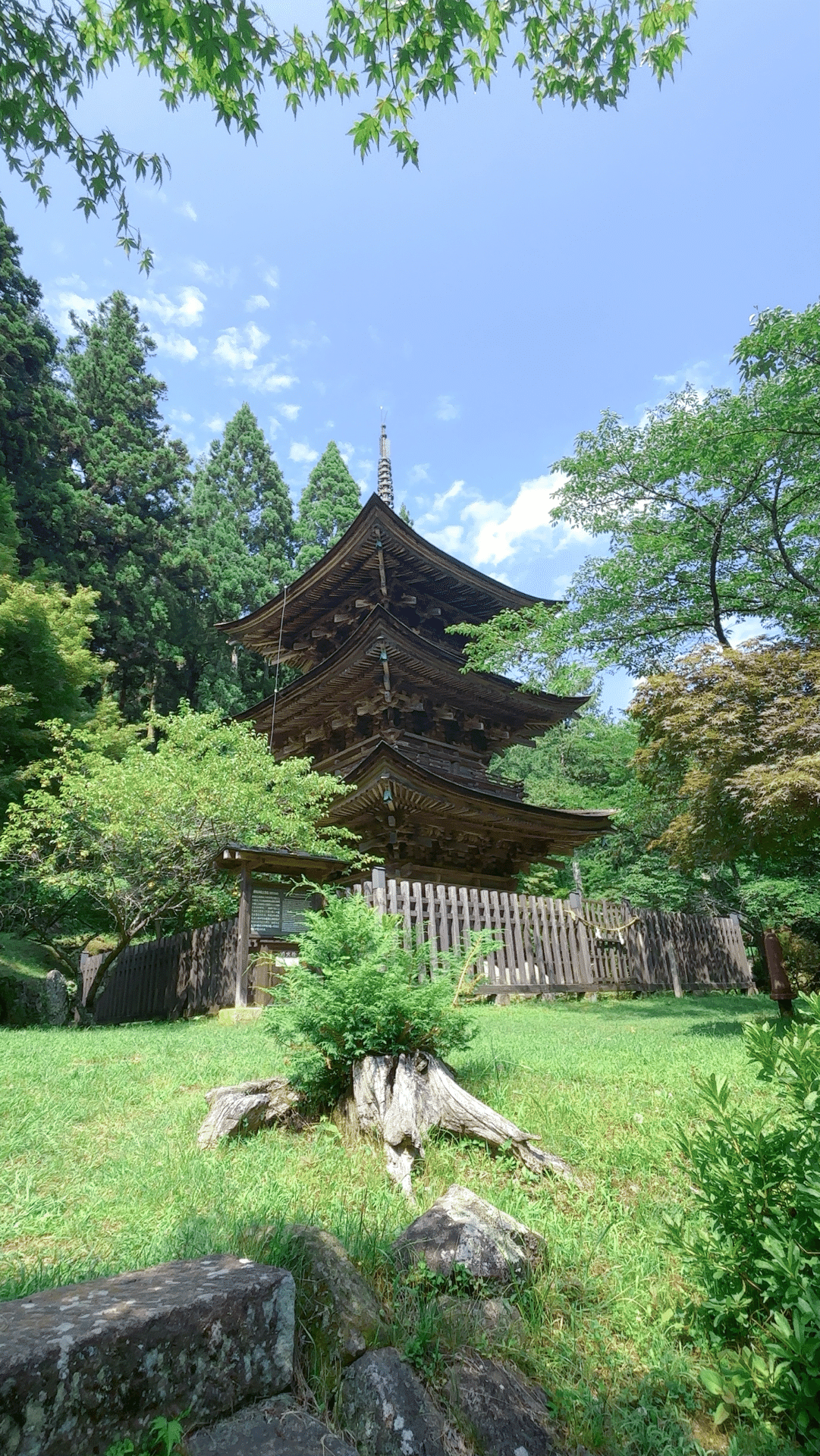 長野旅行2025.7.5-6[写真展]｜nemui👓🐈‍⬛