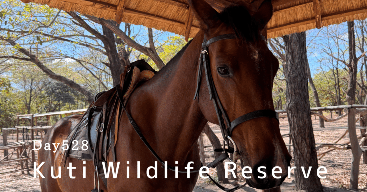 【Day528】Kuti Wildlife Reserve｜K🇲🇼JOCV2023-3