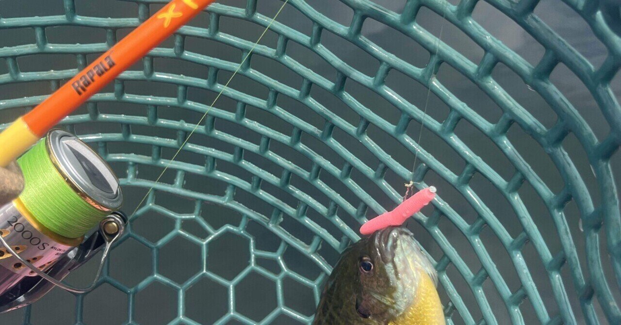 RAPARA Fippy Spin｜yuy fishing