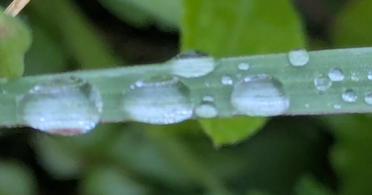 水滴美術館〜いっぱい｜ichiro70