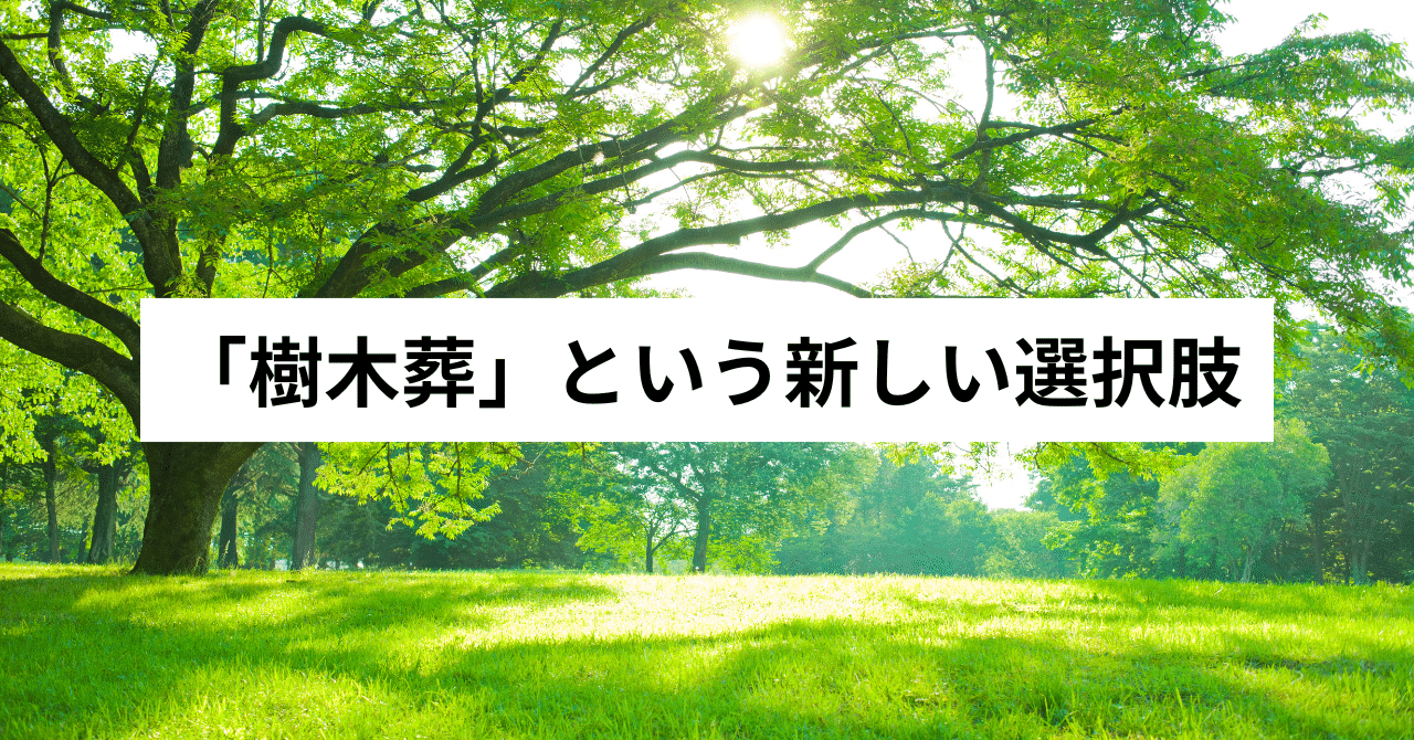 これからのお墓の選び方。「樹木葬」という新しい選択肢とは？｜🌸てあわせ🙏