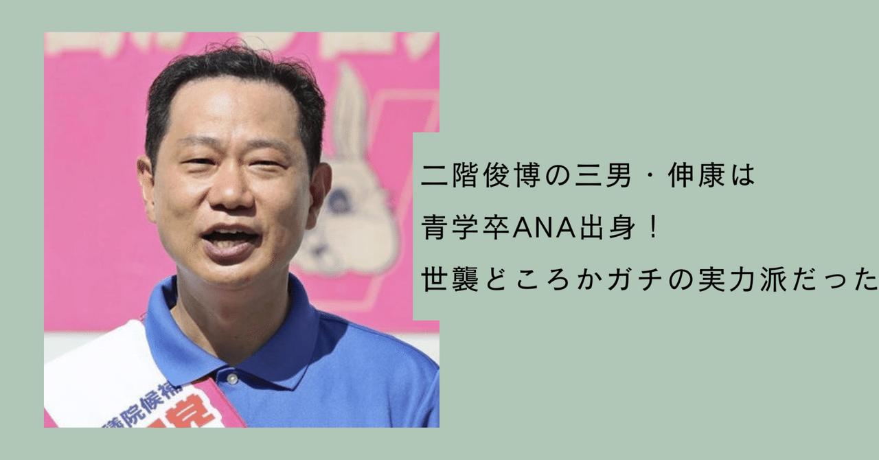 二階俊博の三男・伸康は青学卒ANA出身！世襲どころかガチの実力派だった｜美琴