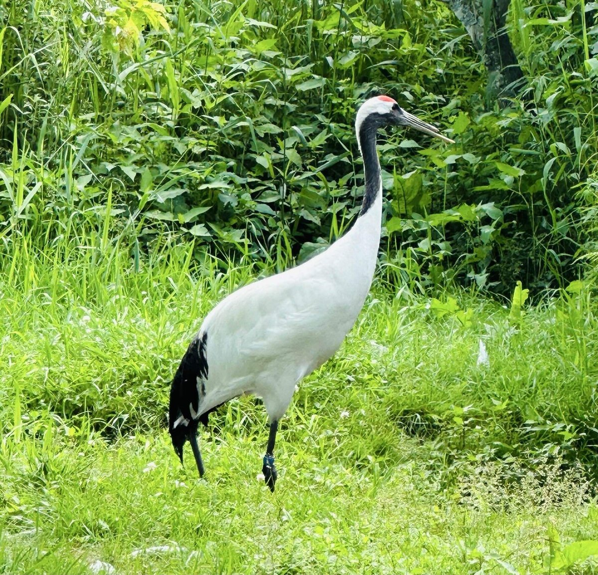 旅日記 北海道・釧路｜tsukiko
