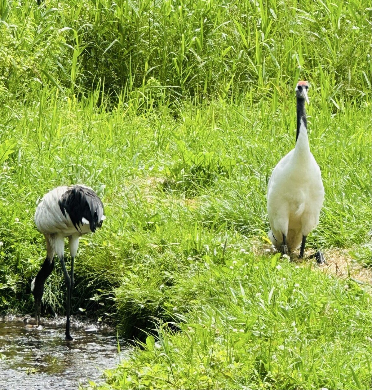 旅日記 北海道・釧路｜tsukiko