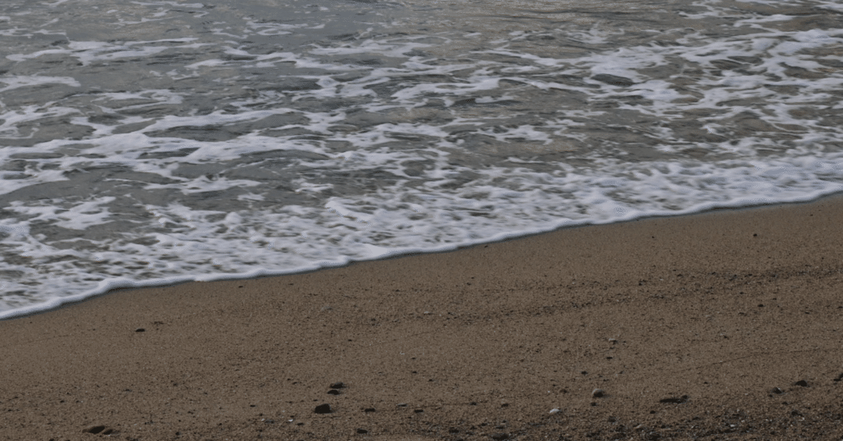 self introduction 🪴 ~中大通教入学のきっかけ編~｜kohada_law