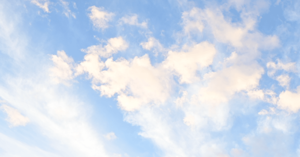 self introduction 🌵~仕事編~｜kohada_law