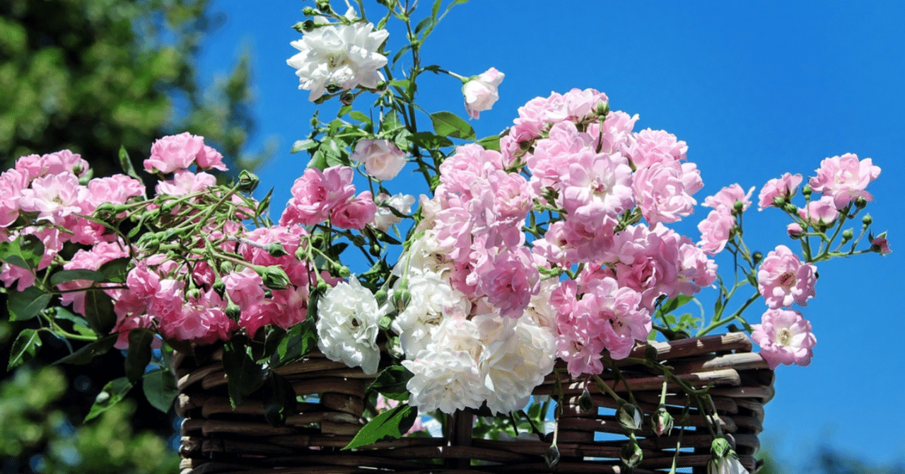 【React×MA_32】 React Router v6でページ遷移トリガーを発火させるには？｜フロントエンドの人