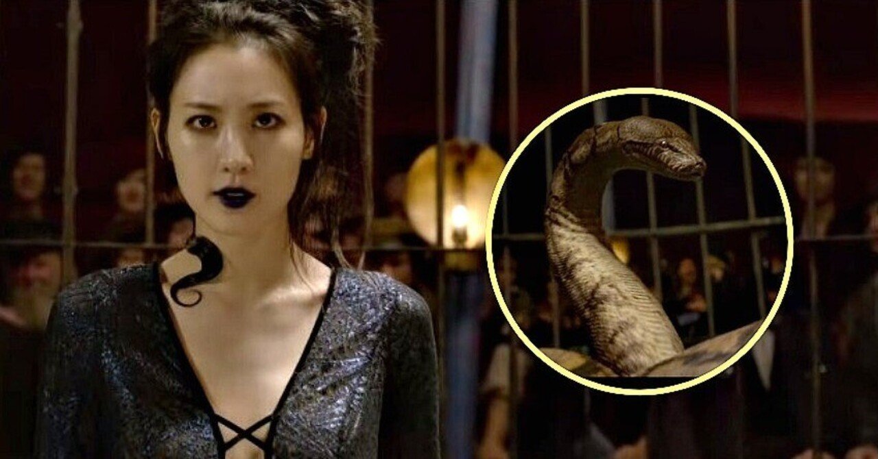 『ファンタスティック・ビースト』シリーズのナギニ：未回収の謎と考察｜Moca Cameron