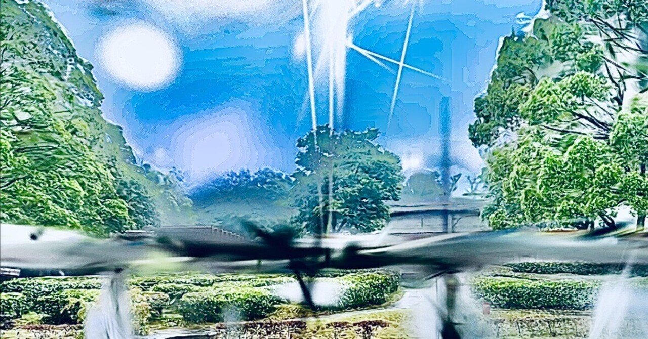 どこから世界を見よう｜大越円香 Okoshi Madoka