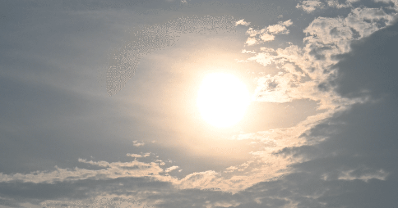 アラサー法学生の奮闘記 中大通教|入学準備|履修登録|教科書購入👼 ｜kohada_law