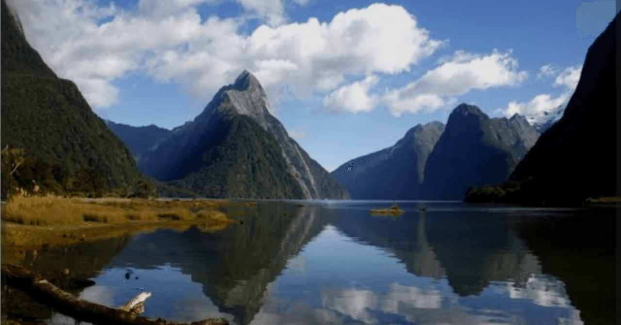 ニュージーランドと多文化共生｜eri sakamoto