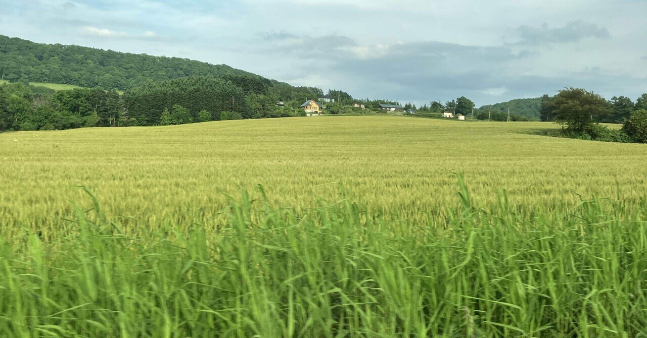 最期に東大教授の患者さんが私に教えてくれたこと｜Furano love