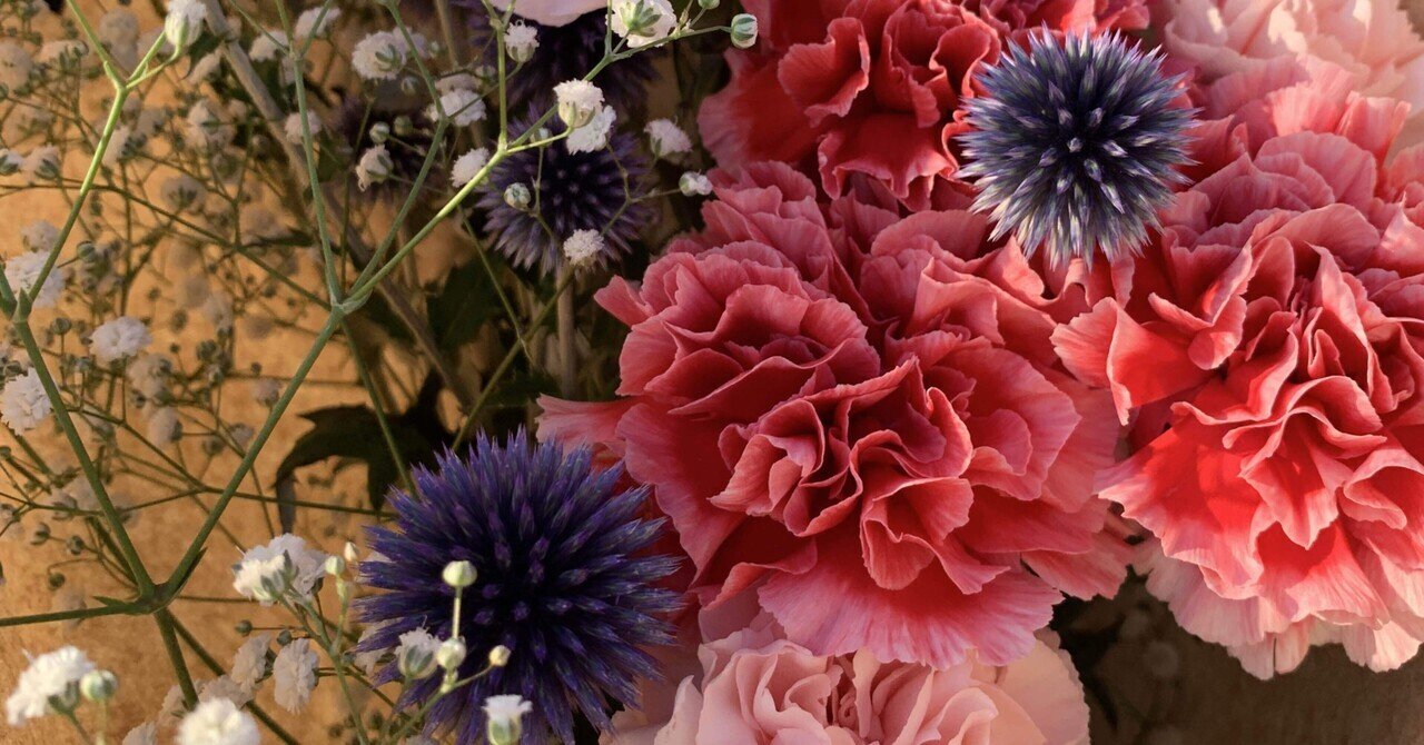 愛しのあなたへ (乗り越えられないペットロス、もはや背負って生きる覚悟をした私の今)｜yamome shima