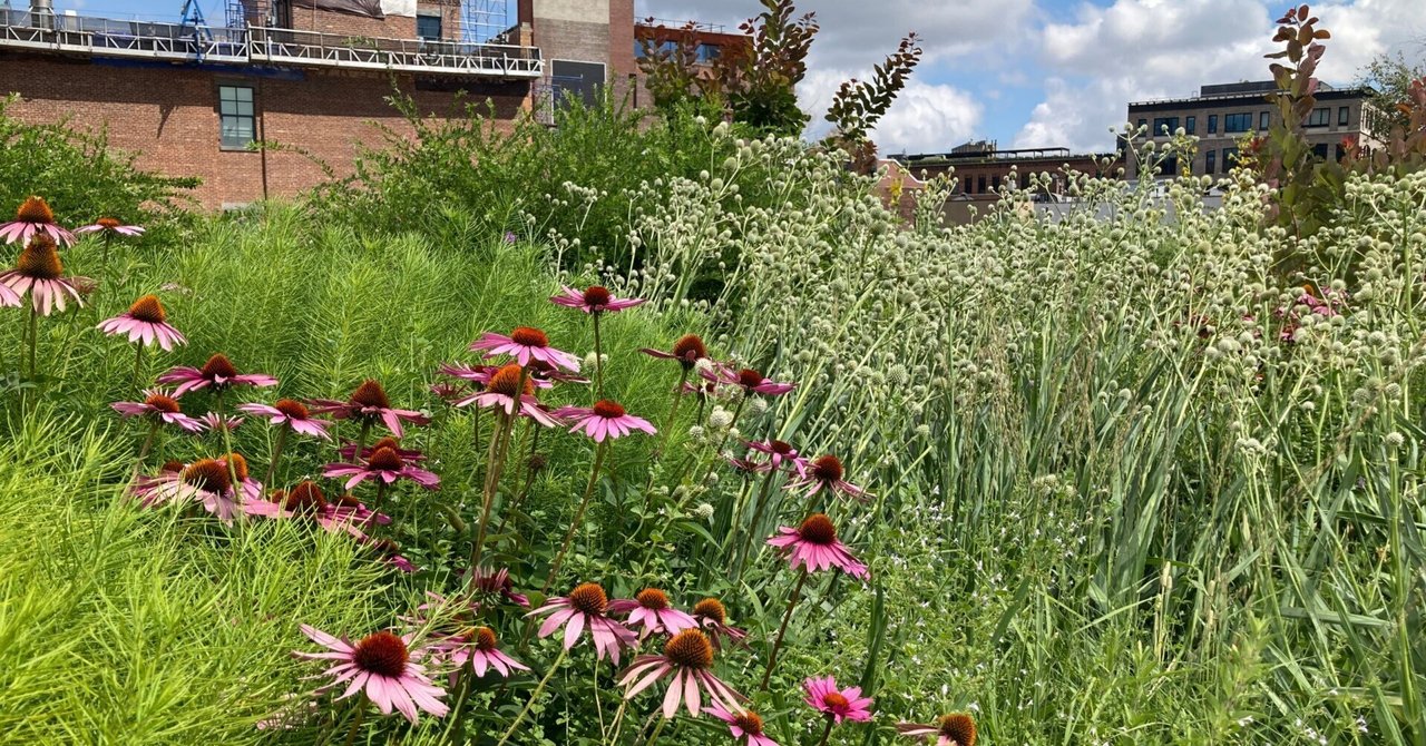 ＃11 ツールで子育て対話～親のためのシステム思考～｜小林 浩子 Hiroko Kobayashi