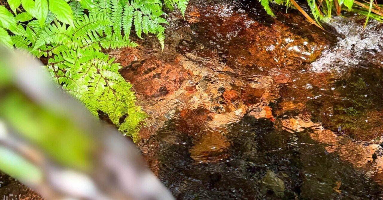 少年キャンプの下見｜Dan Takuma