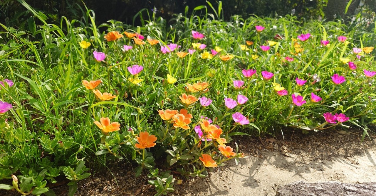 今日の1曲と7/15推奨馬についてのnote｜魔王ま