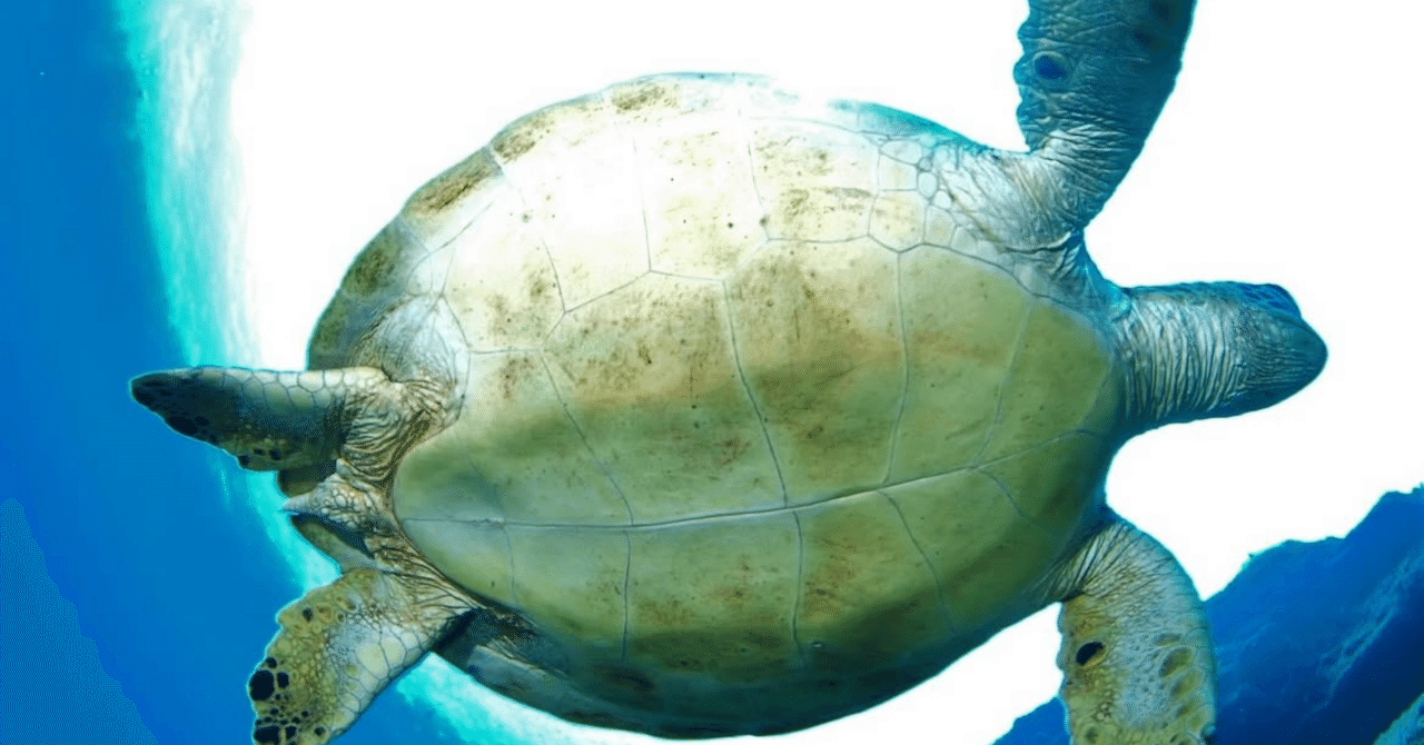 今は耐えよ｜ATSUさん180cm