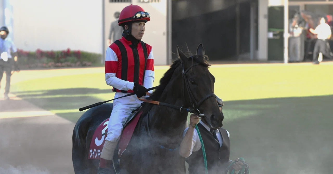 ウインレーシングクラブ 2025募集馬(2024年産)AI馬体診断｜Koji Maeda