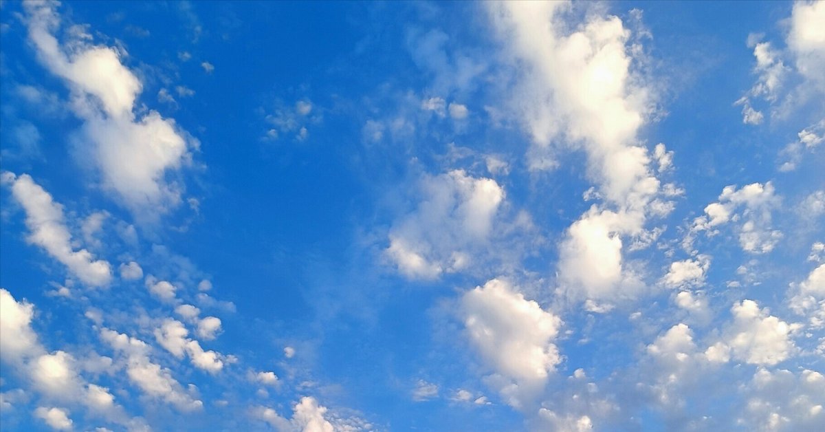 モコモコ｜sora_purecolor