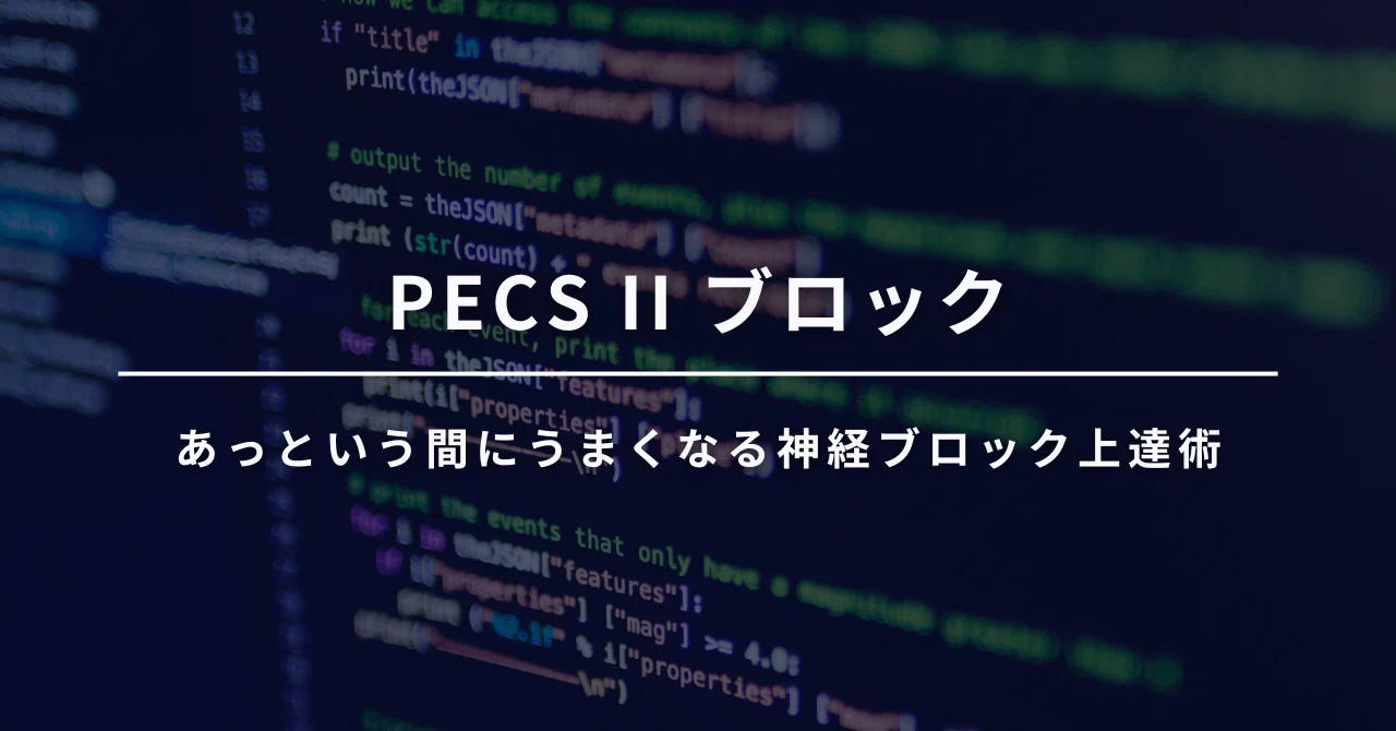 PECS II ブロック｜Yuichi Ohgoshi／Dr.G