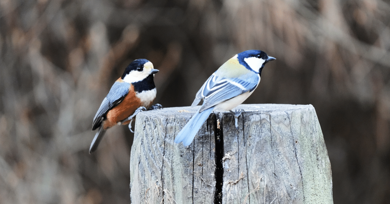 詩『やかましい静けさ』｜ZAWA UG ／ 精神彫刻家