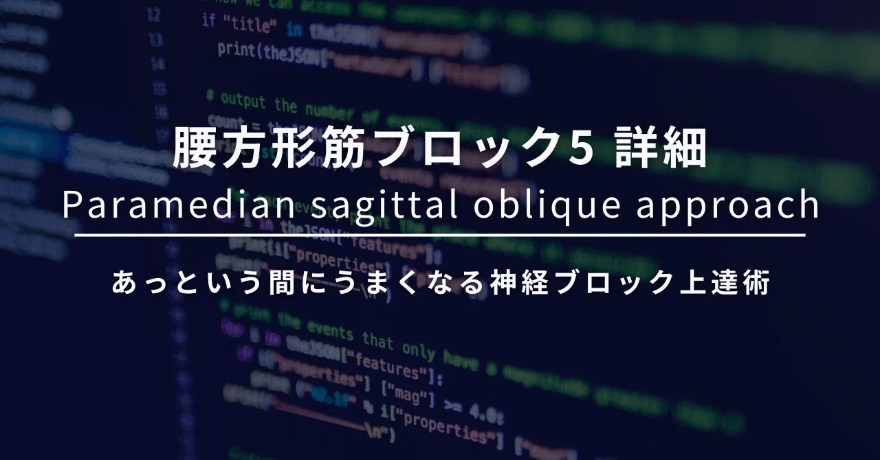 QLB Paramedian sagittal oblique approach｜Yuichi Ohgoshi／Dr.G