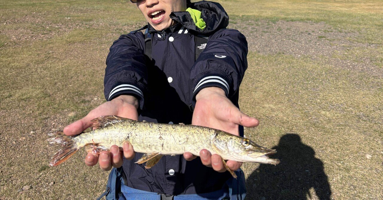 モンゴル釣行記～怪魚タイメンを求めたはずが～②｜Kameda Takeru