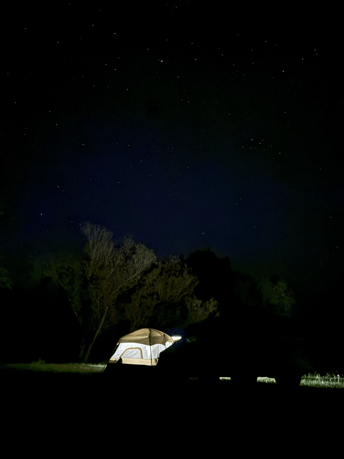 モンゴル釣行記～怪魚タイメンを求めたはずが～②｜Kameda Takeru