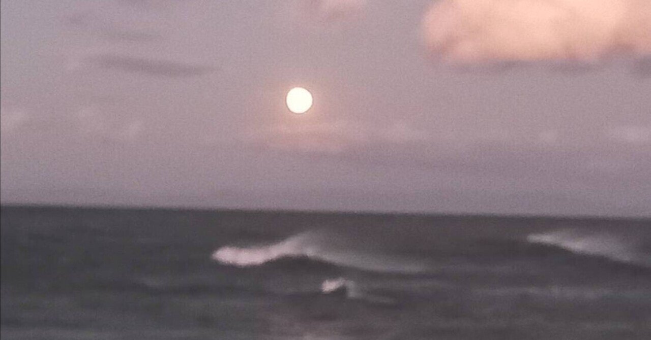 賭け 〗｜kouichi