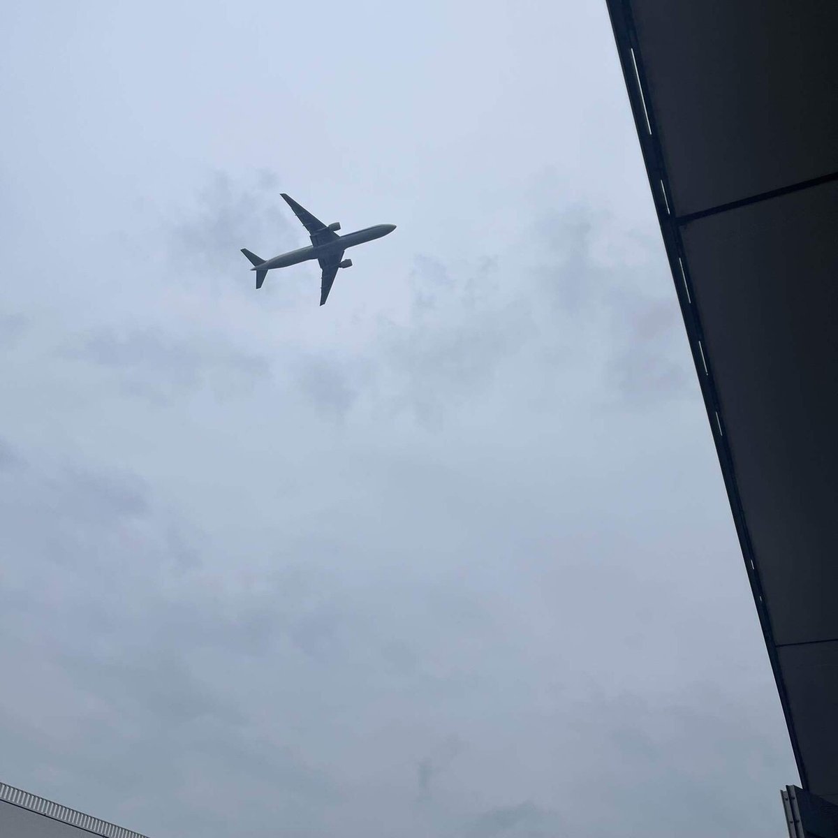 セカオワファンクラブツアー「INSTANTRADIO」レポ！最前から見えた景色もたっぷりお伝え！｜彩楓🍁栃木の22歳フリーランス