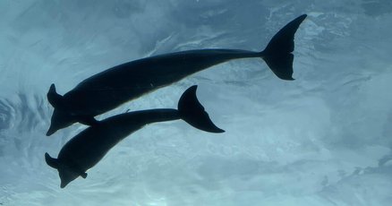 婚活」の人気タグ記事一覧｜note ――つくる、つながる、とどける。