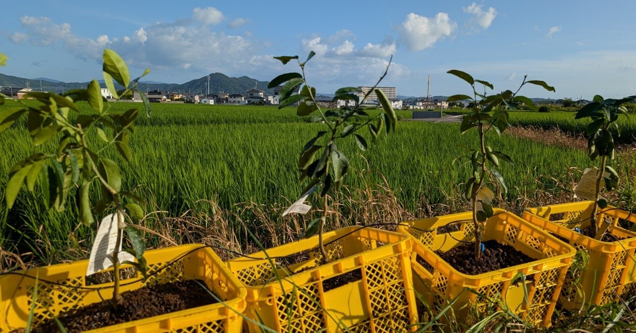 T.R.U.N.K Project始動（仮）｜kattupa3