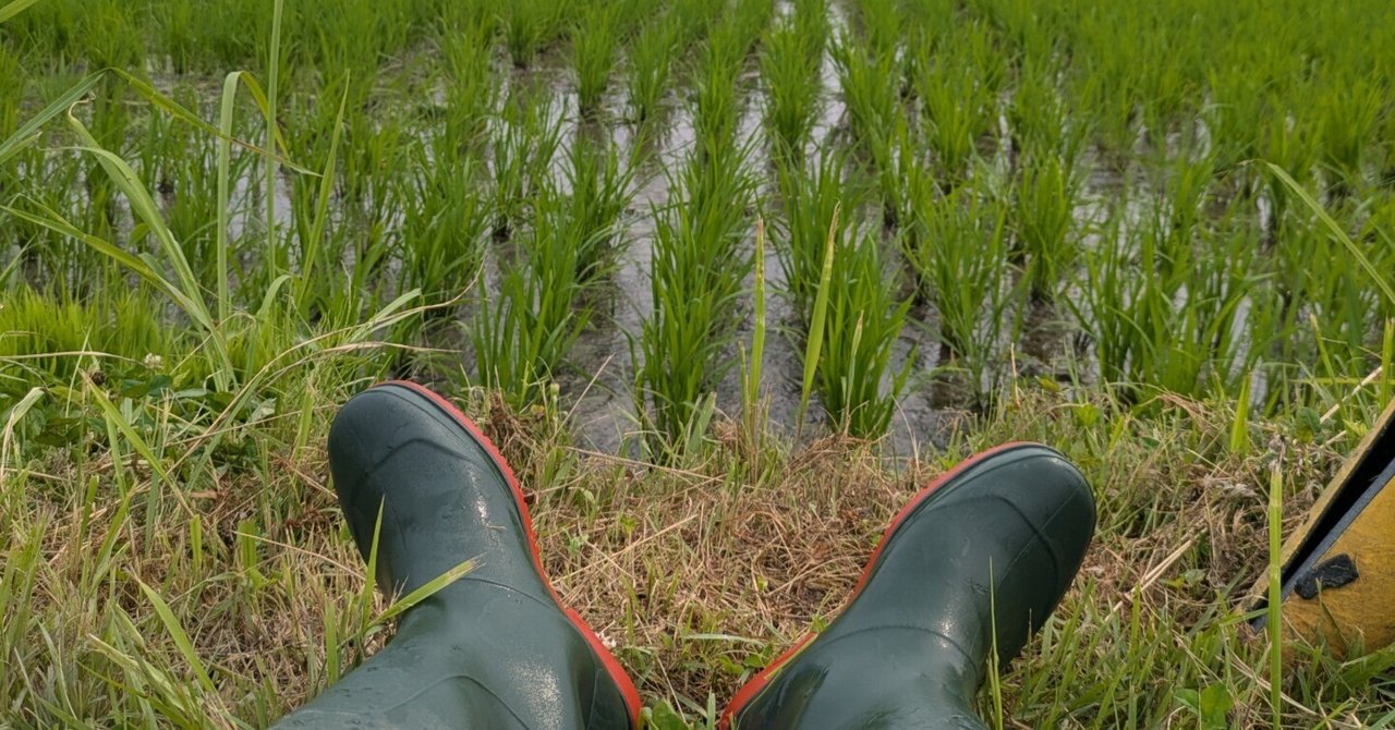 田尻農園草取物語 ～草取りの先に見えた、義侠の向こう側～｜IMADEYA MAGAZINE
