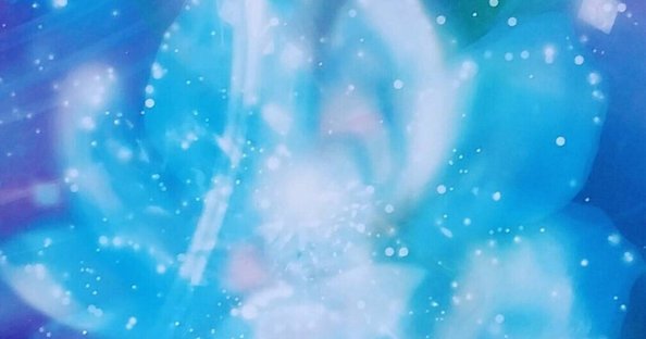 北陸・福井のマヤ暦アドバイザー：🌎Rumiko（酒井ルミコ）｜note