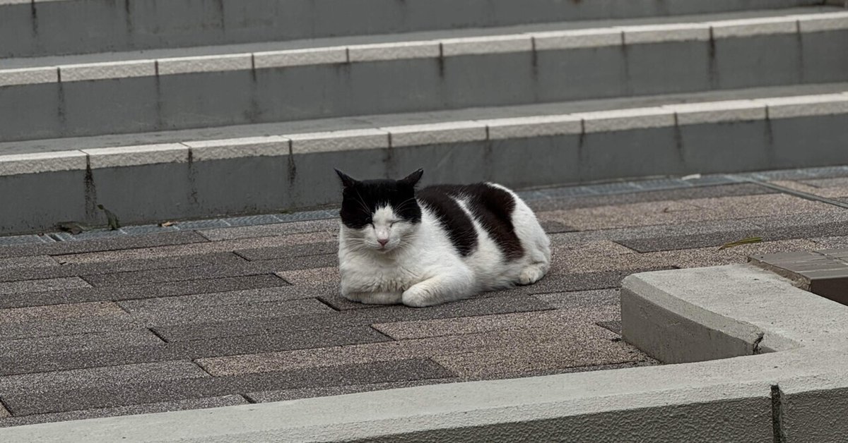 ドイツ出張｜kamera_kozo