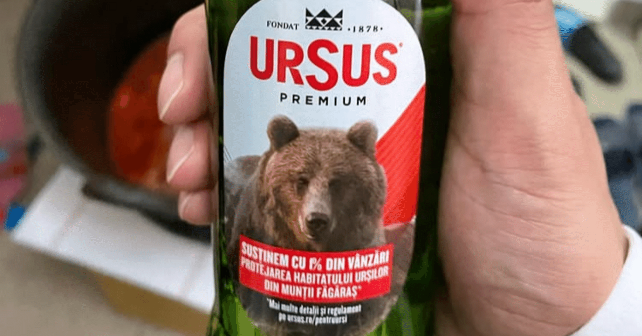 【中学英語文法シリーズ㊷】「現在完了進行形」｜liyin_eigo