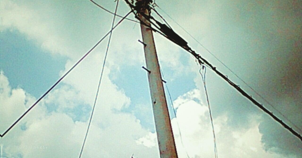 3行日記 日々精進｜negi.（ねぎとろ）