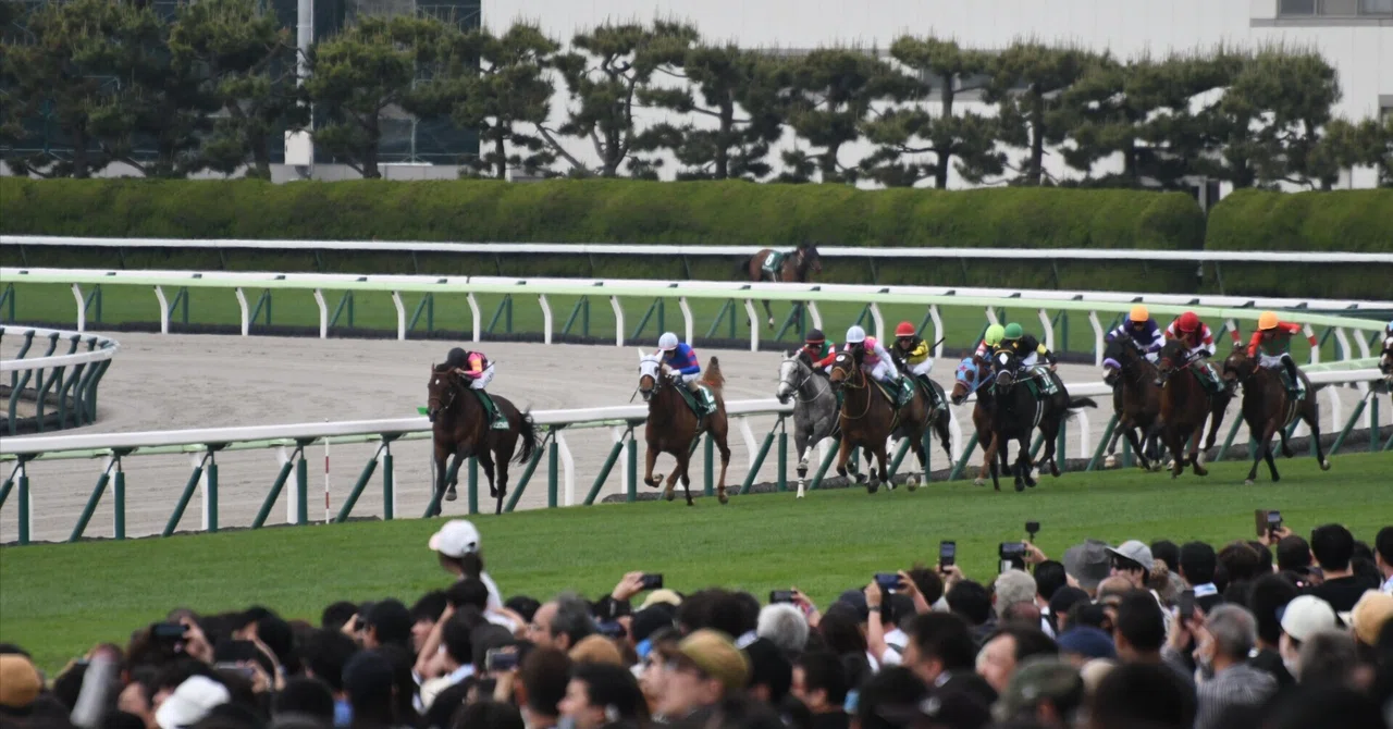 ターファイトクラブ 2025募集馬(2024年産)AI馬体診断｜Koji Maeda