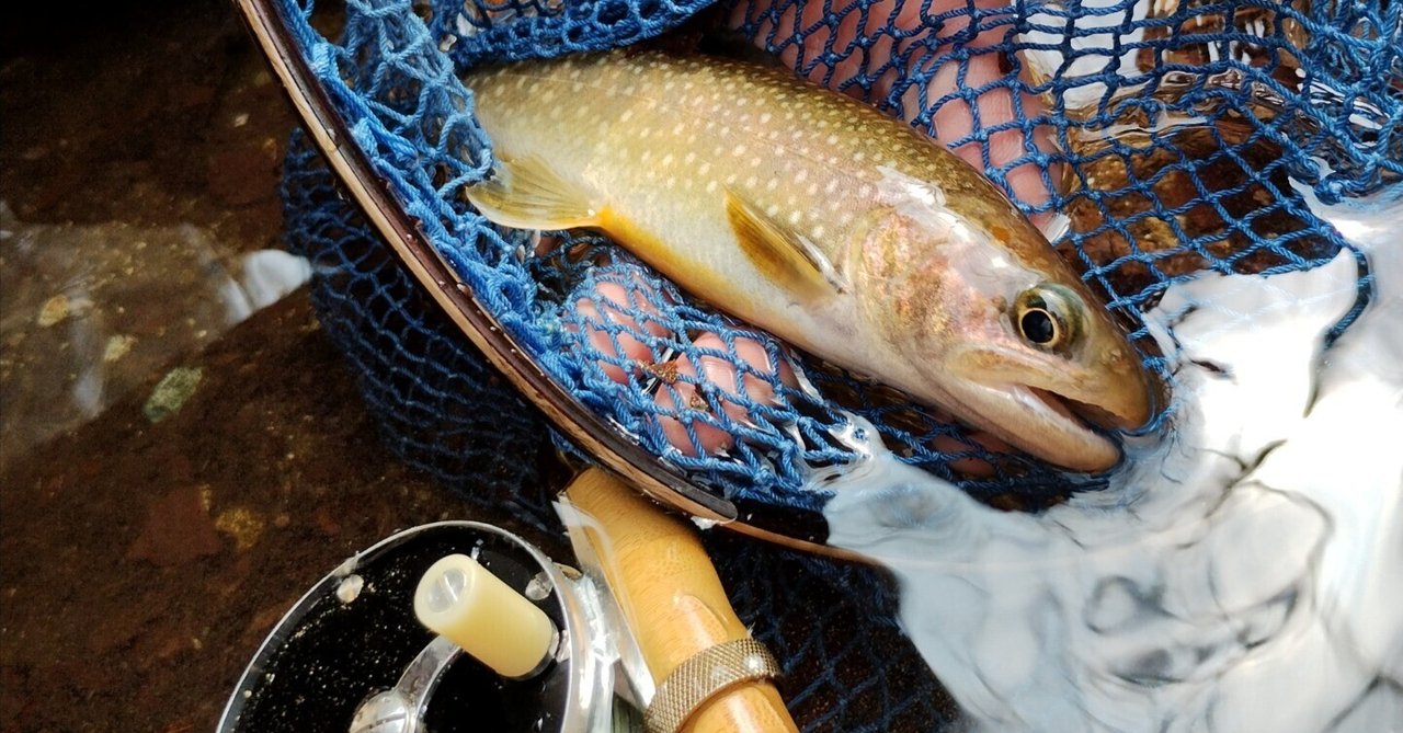 釣りが趣味です。｜kiyoshi_onae