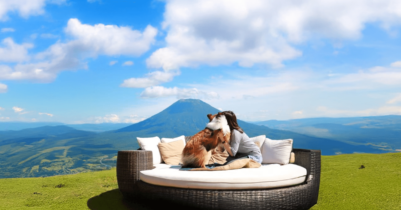 🧸はじめてのnote | シェルティのクーと歩む、穏やかな ハイシニアライフ｜Qoo’s Smile